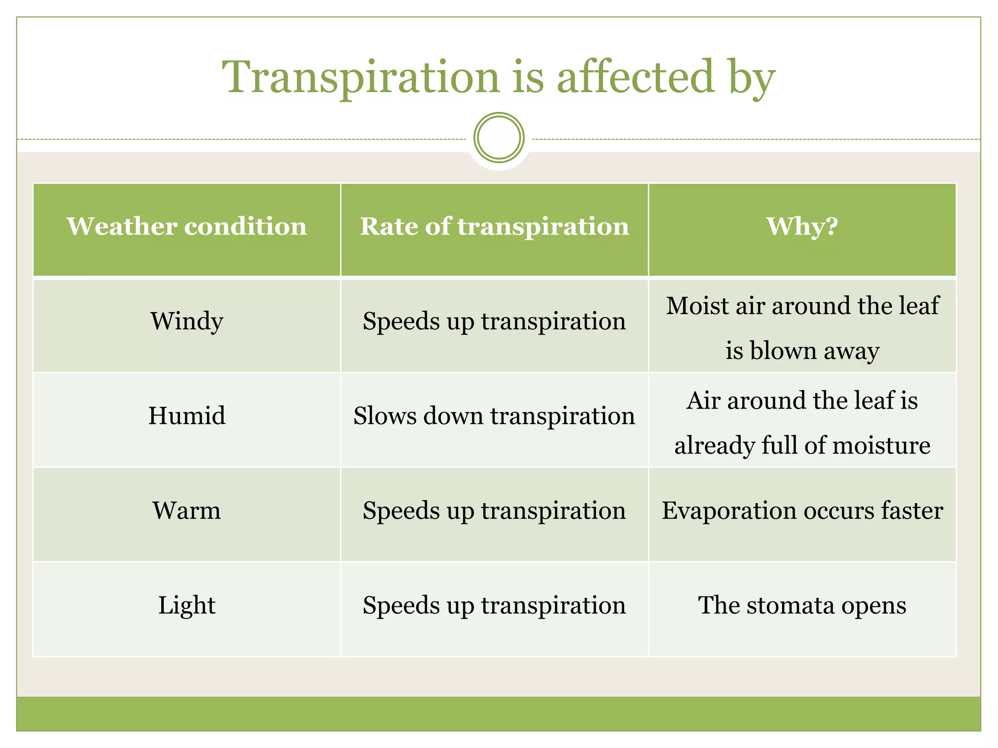 Transport in plants | PPTX
