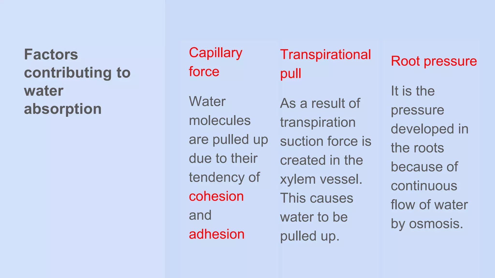 Transport in plants | PPTX