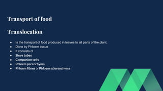 Transport in plants | PPTX