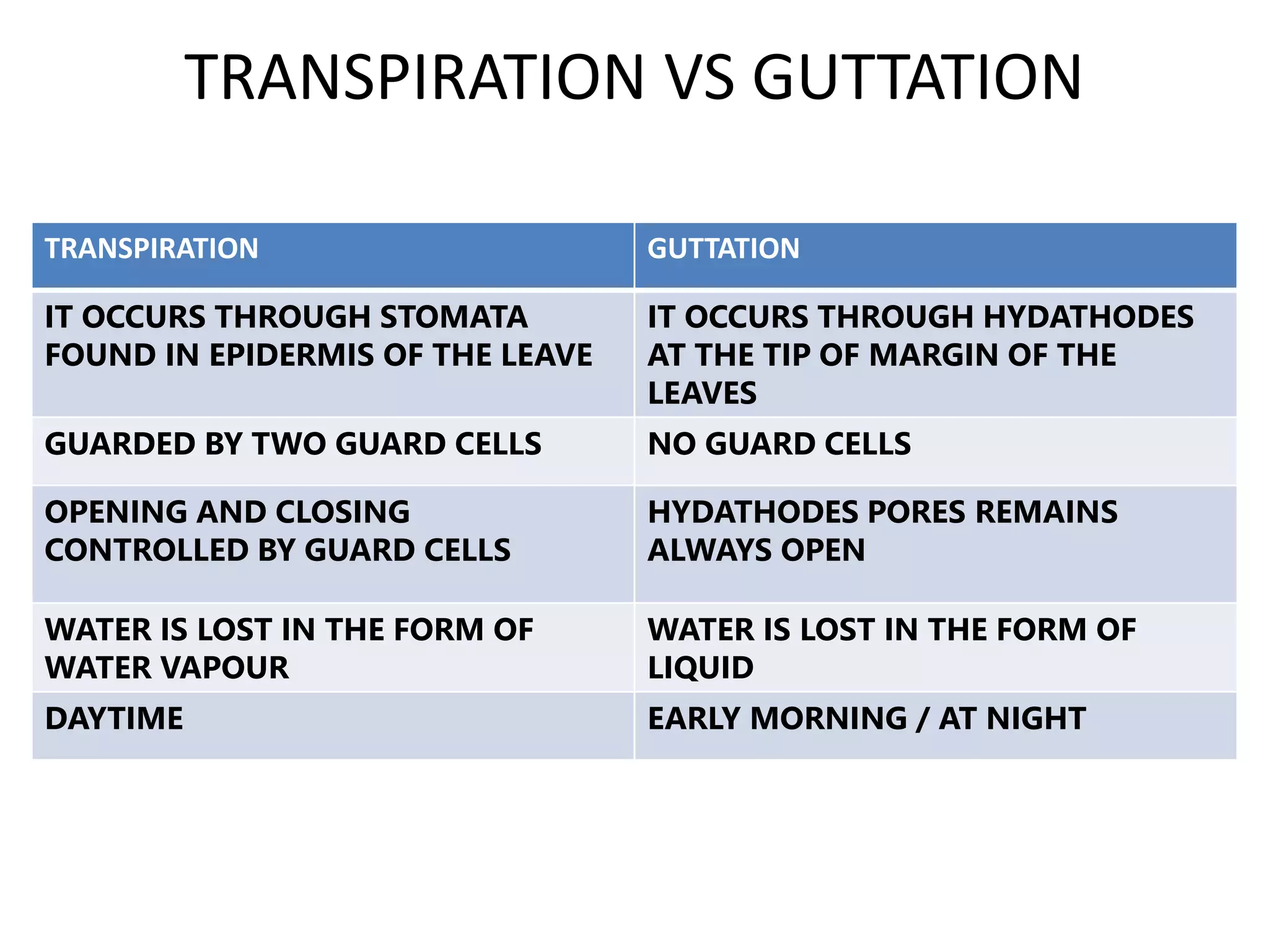 TRANSPORT IN PLANTS.pptx