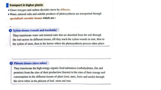 Transport in plants.pptx biology inspire | PPTX