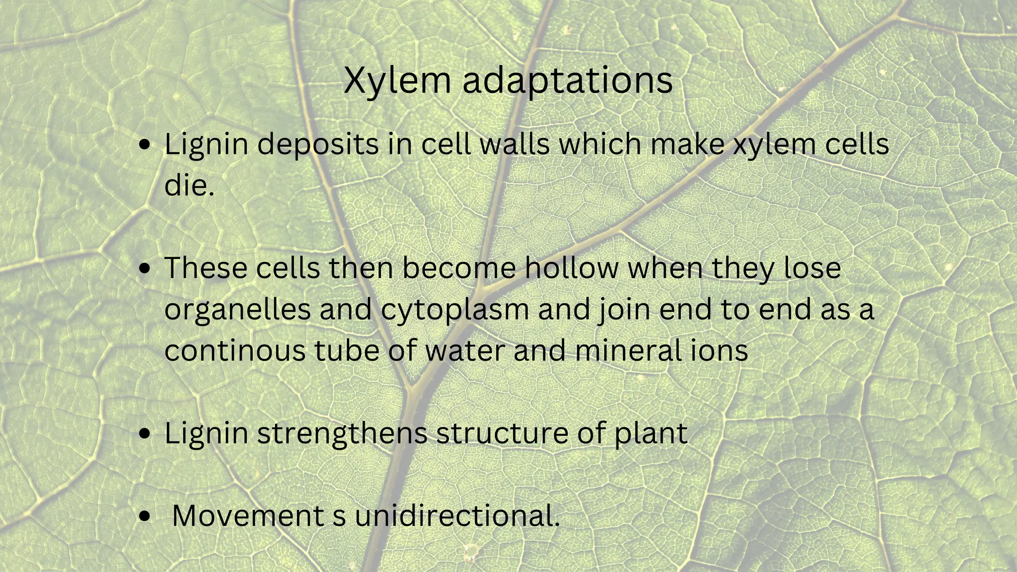 Transport in plants IGCSE Biology Chapter 8 .pdf