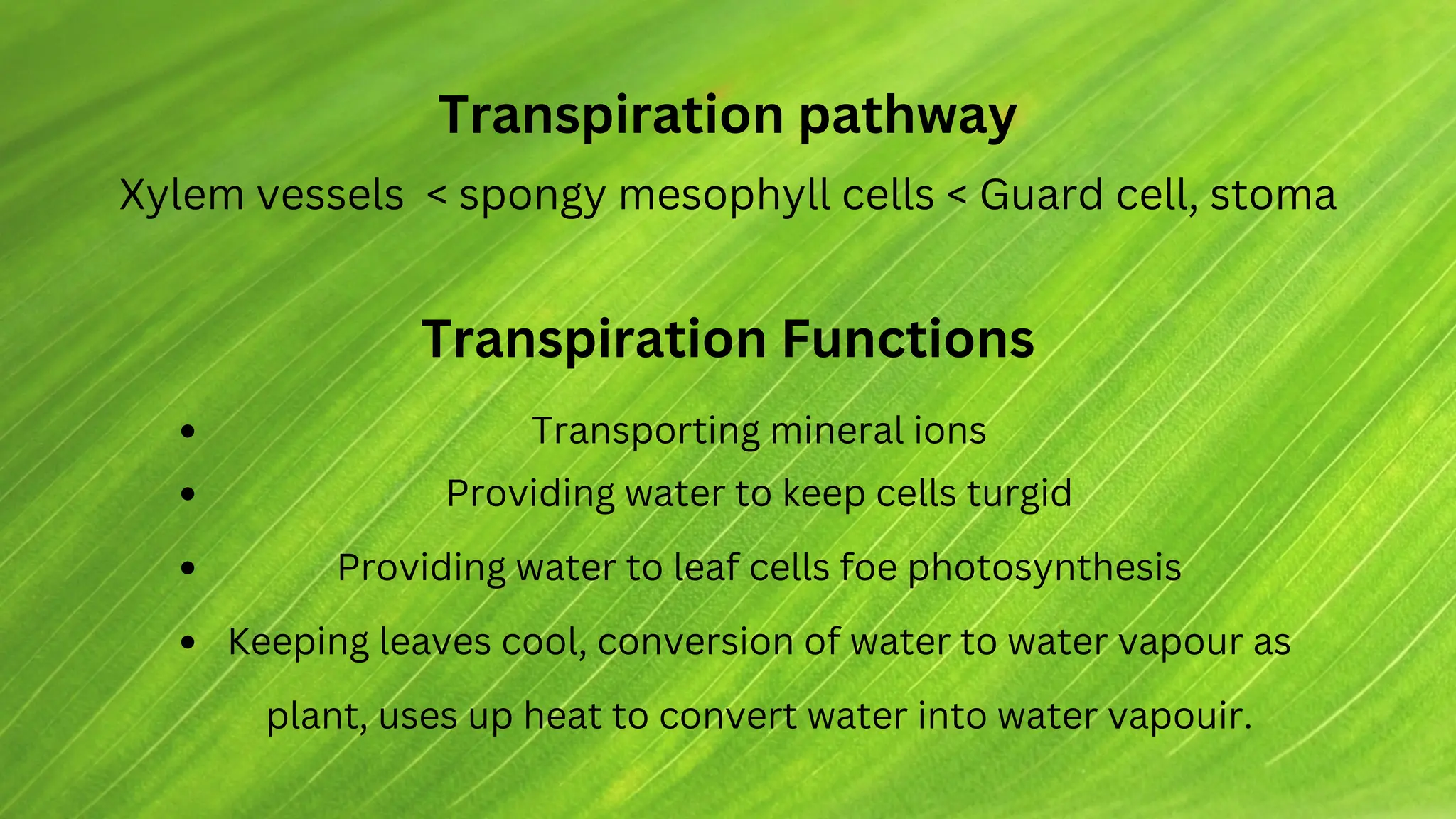 Transport in plants IGCSE Biology Chapter 8 .pdf