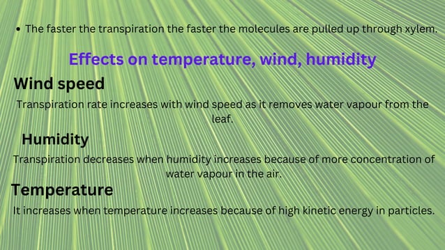 Transport in plants IGCSE Biology Chapter 8 .pdf
