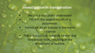 Transport in plants IGCSE Biology Chapter 8 .pdf