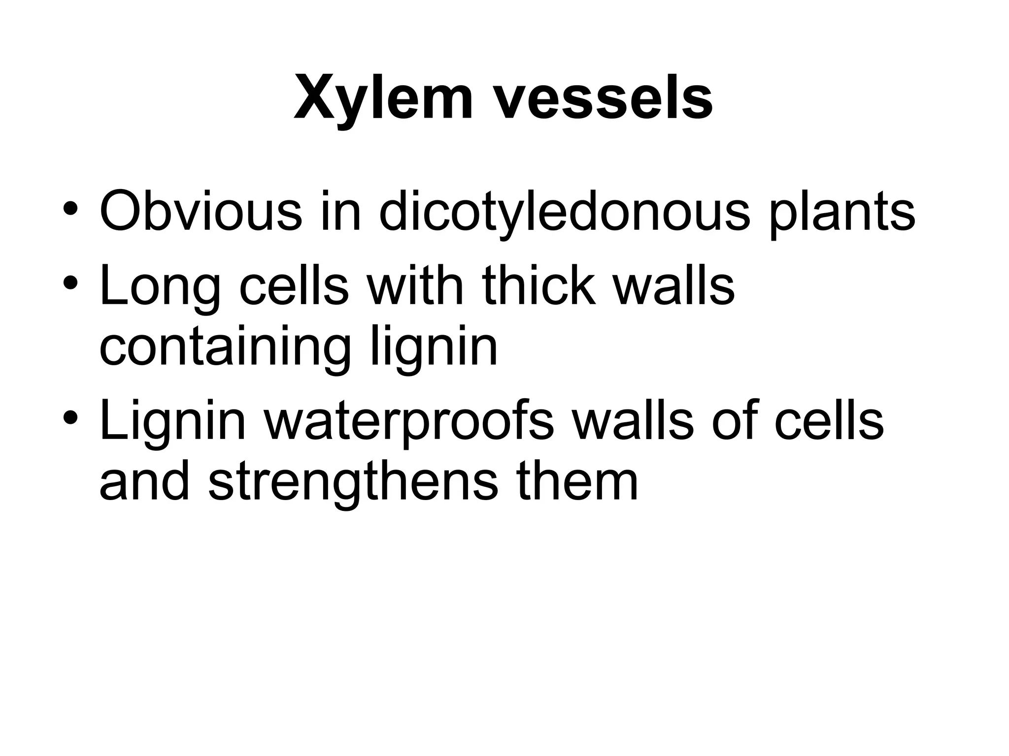 Transport in Plants-Vascular System-Xylem and Phloem | PPT