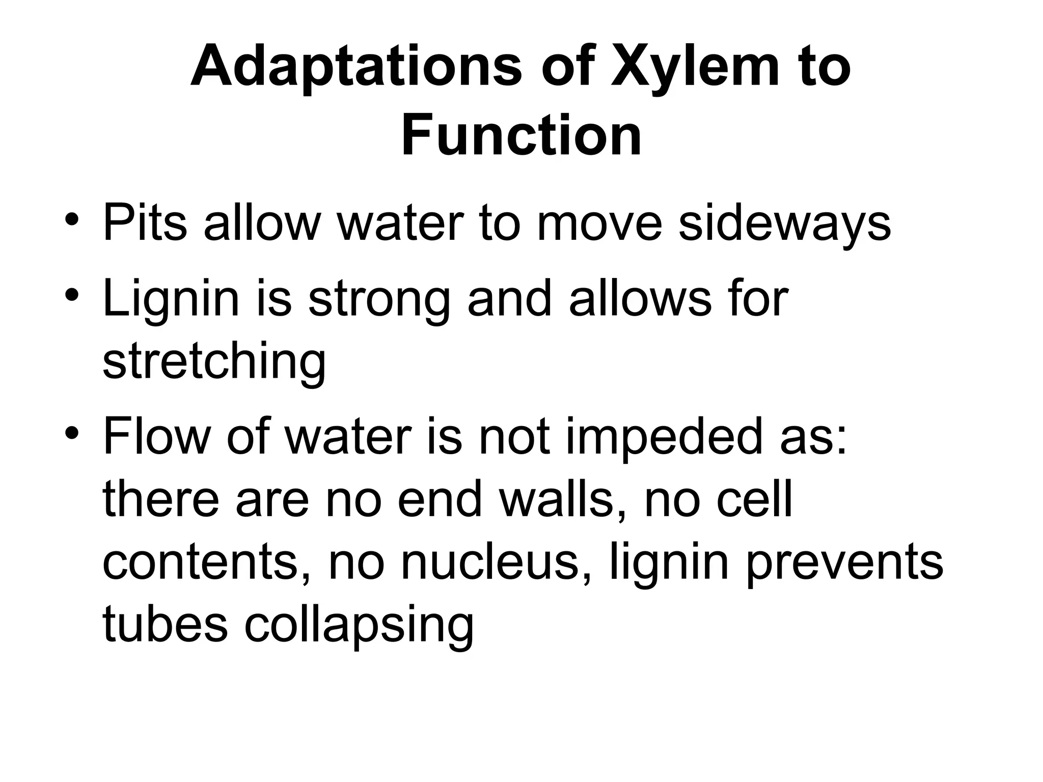 Transport in Plants-Vascular System-Xylem and Phloem | PPT