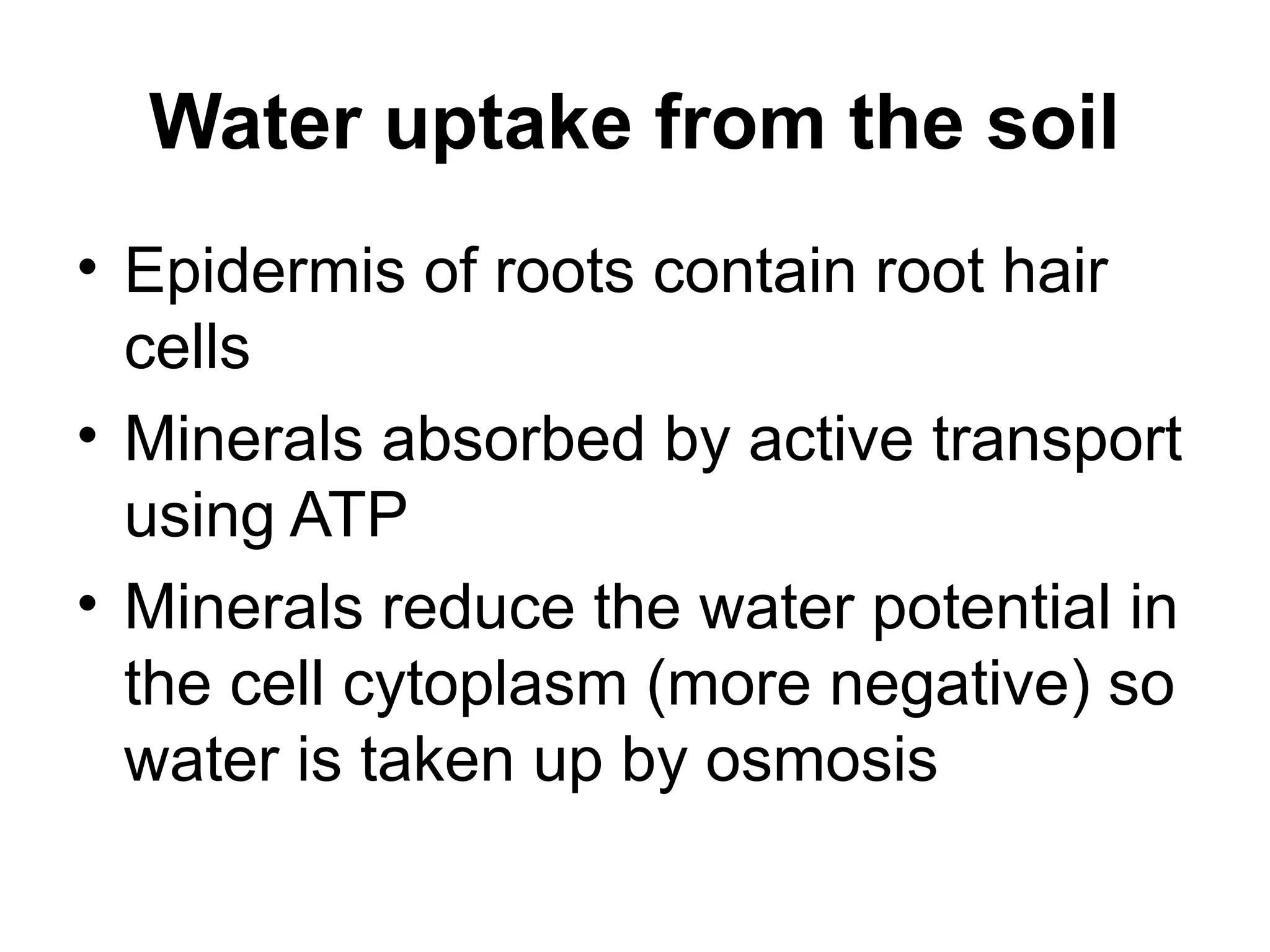 Transport in Plants-Vascular System-Xylem and Phloem | PPT