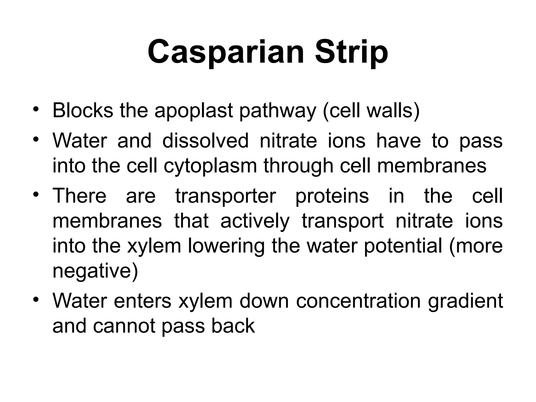 Transport in Plants-Vascular System-Xylem and Phloem | PPT