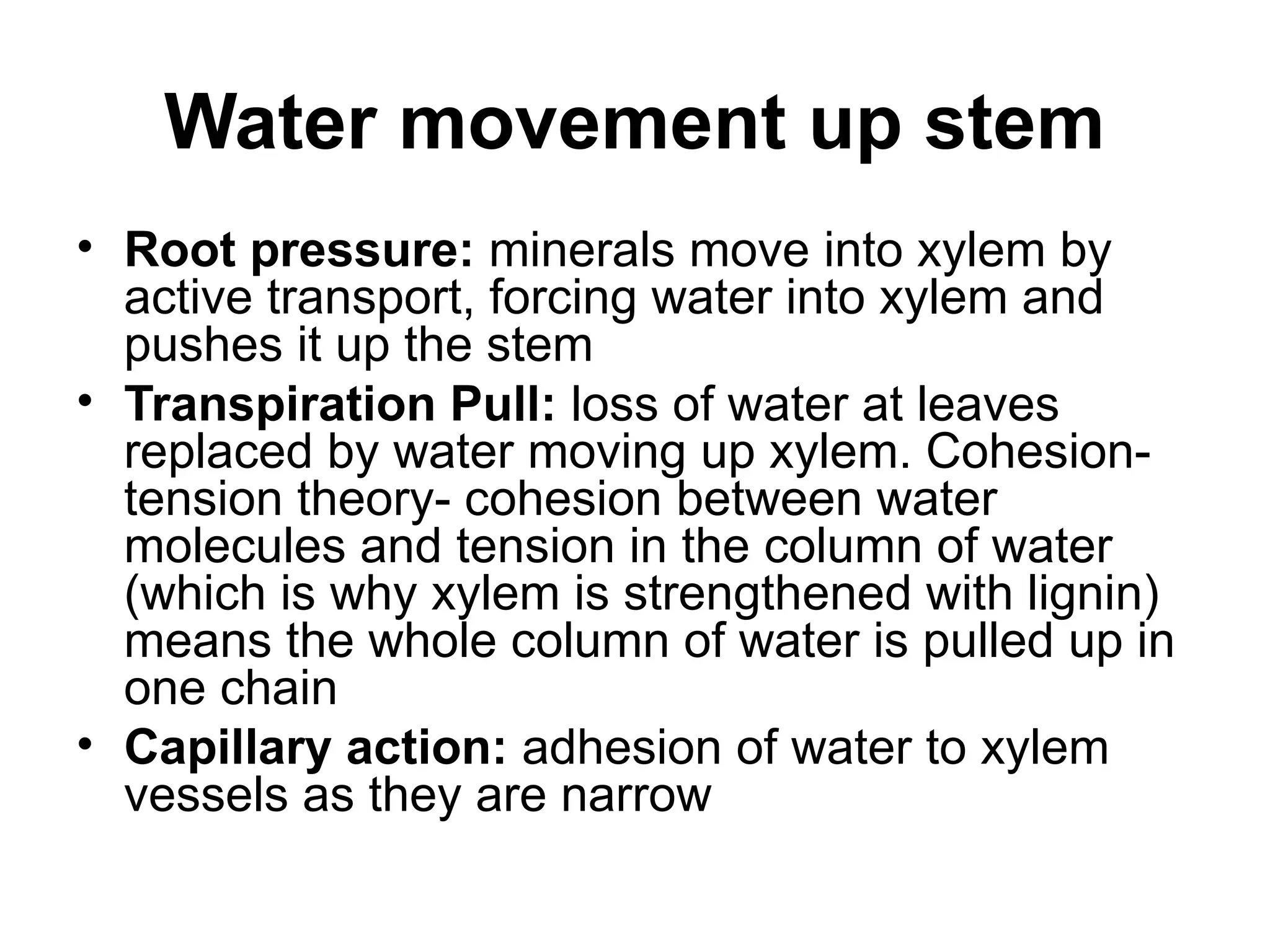 Transport in Plants-Vascular System-Xylem and Phloem | PPT