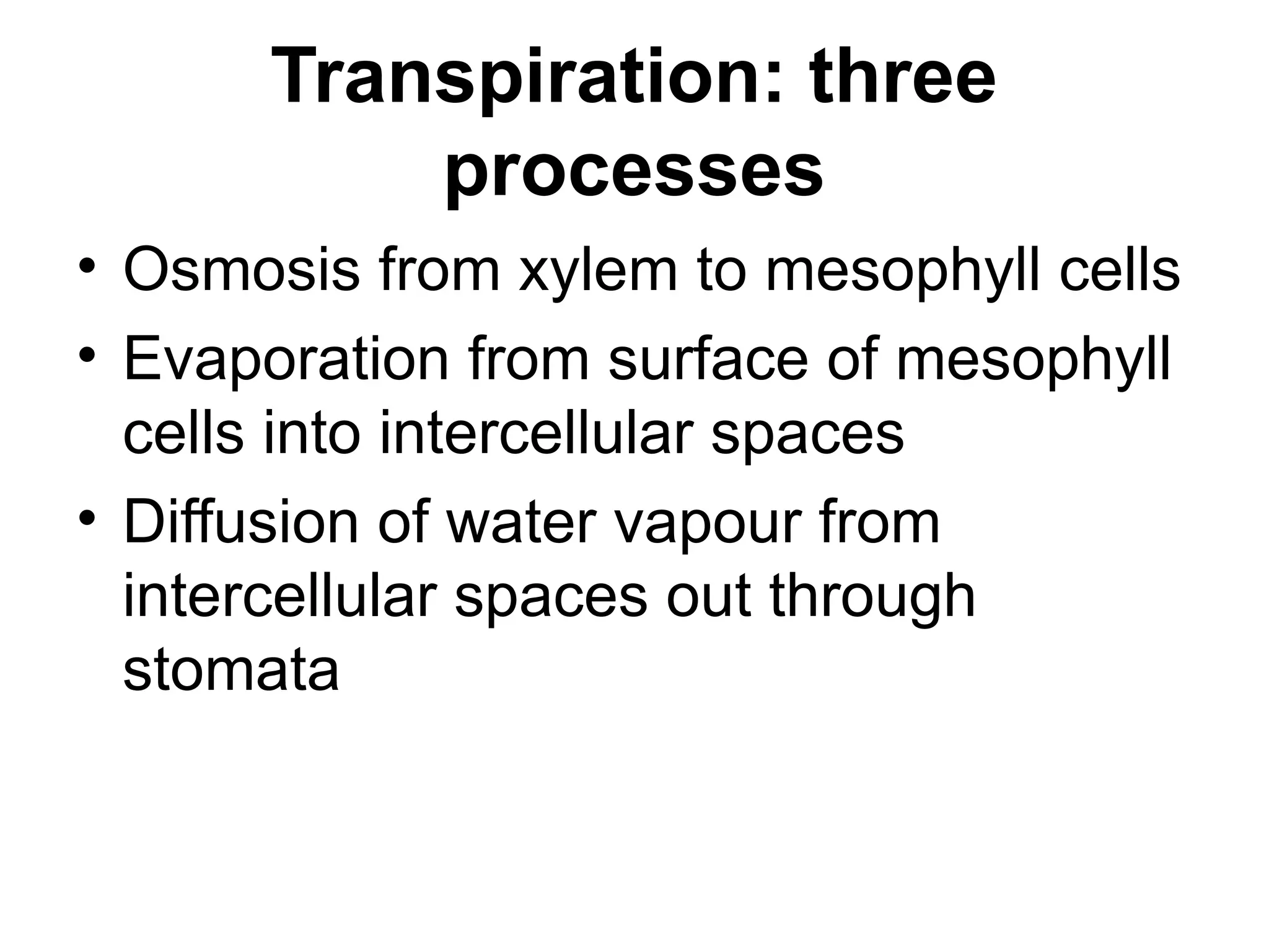 Transport in Plants-Vascular System-Xylem and Phloem | PPT