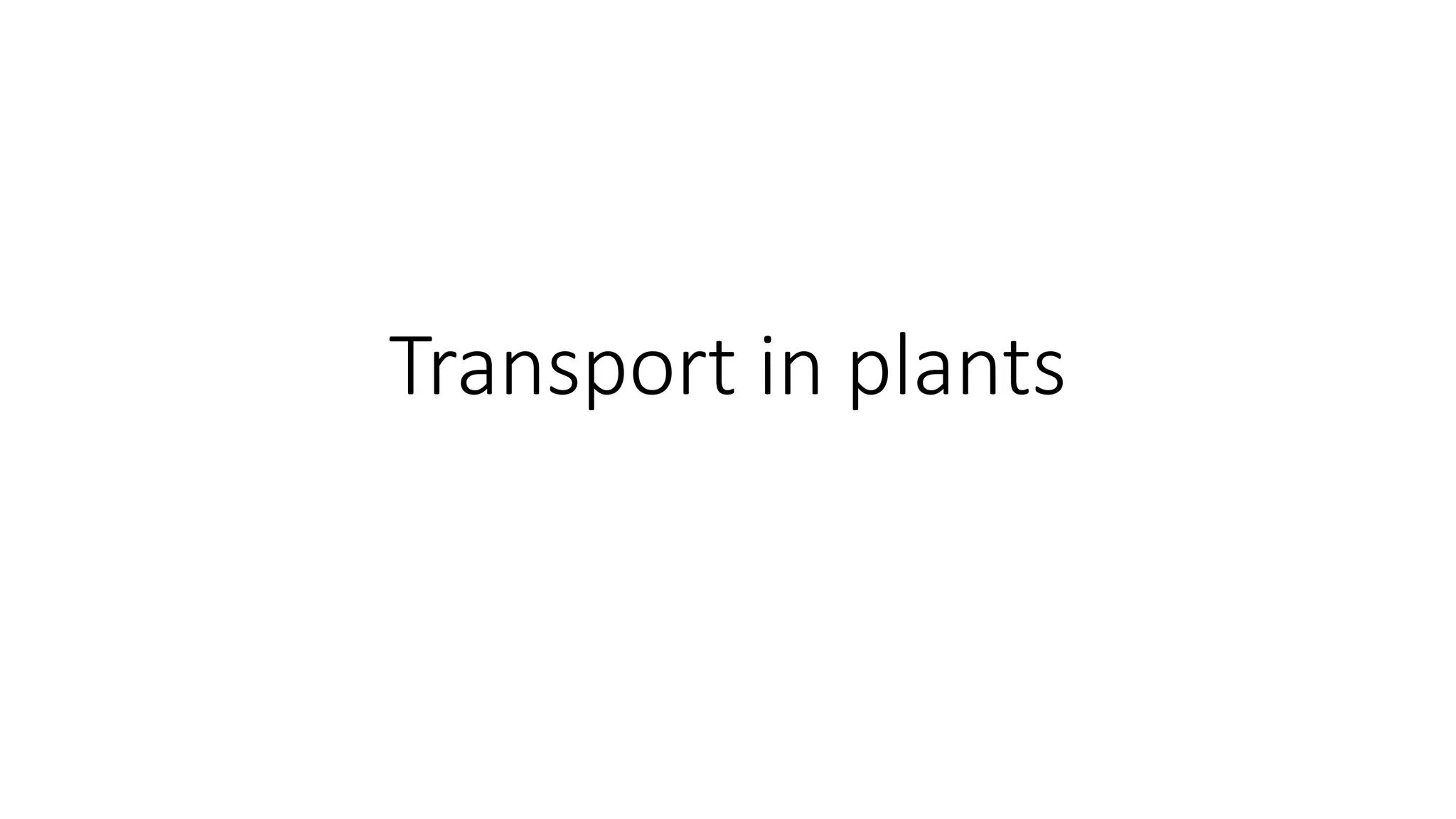 Transport in plants , xylem and phloem leaves | PPTX