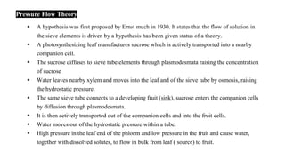 transport in plants (1).pptx . | PPTX