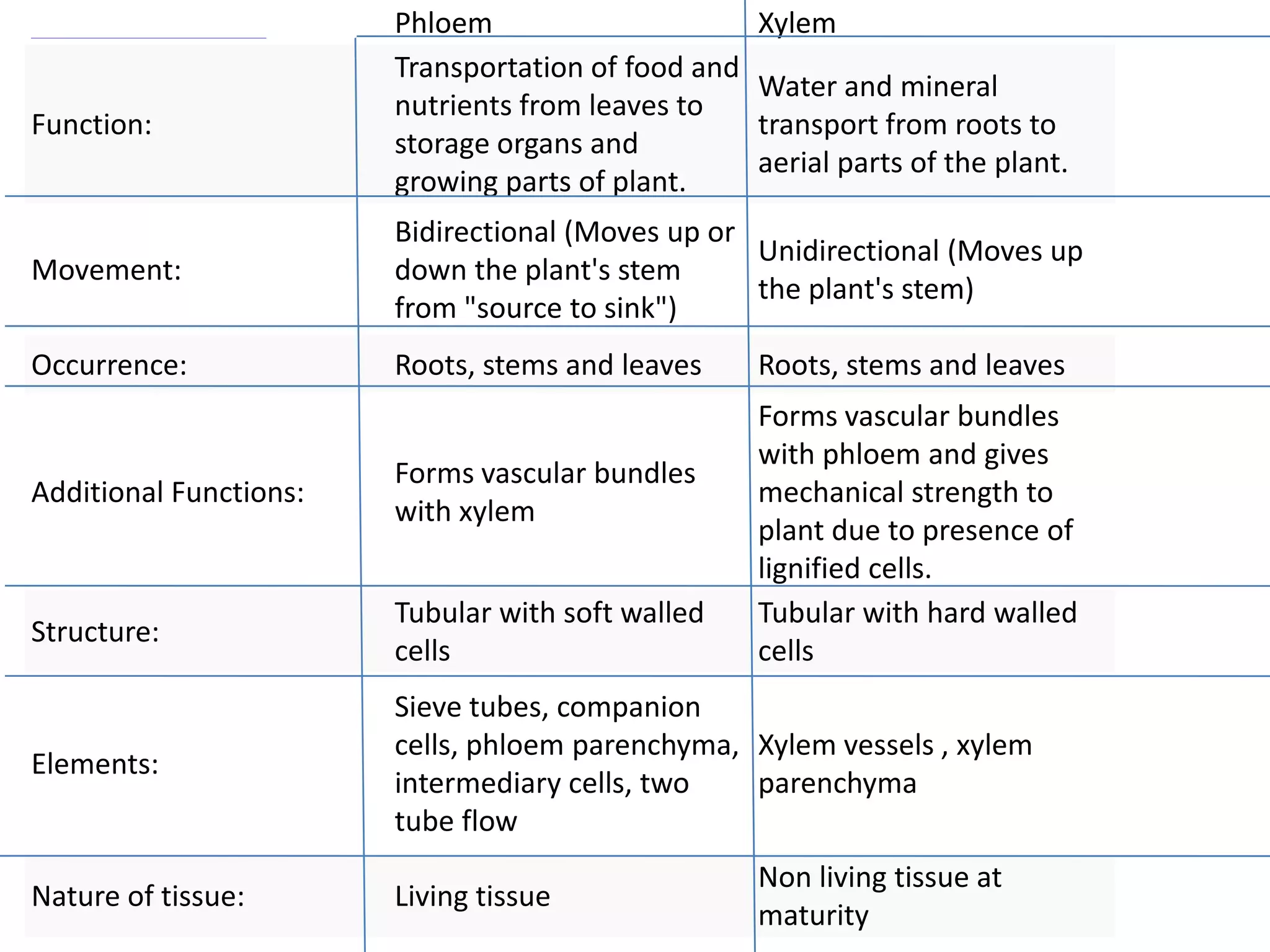 Transport in plants 2 xylem and phloem structure | PPTX