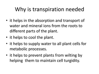 Transport in plants 3 transpiration | PPTX