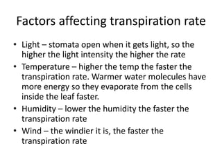 Transport in plants 3 transpiration | PPTX