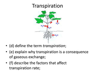 Transpiration Definition