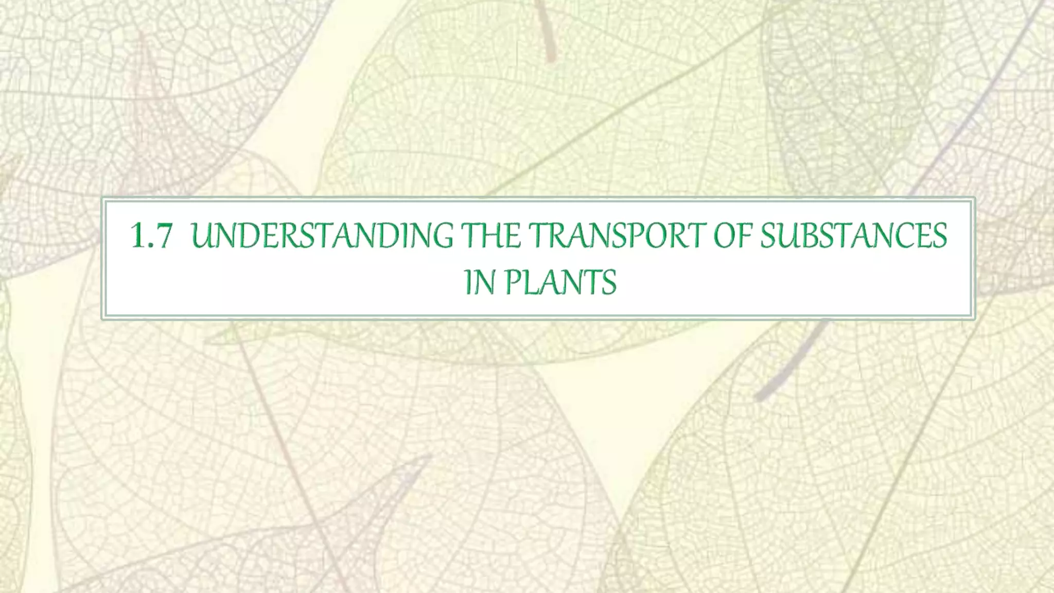Biology Form 5 chapter 1.7 & 1.8 (Transport in Plants) | PPT