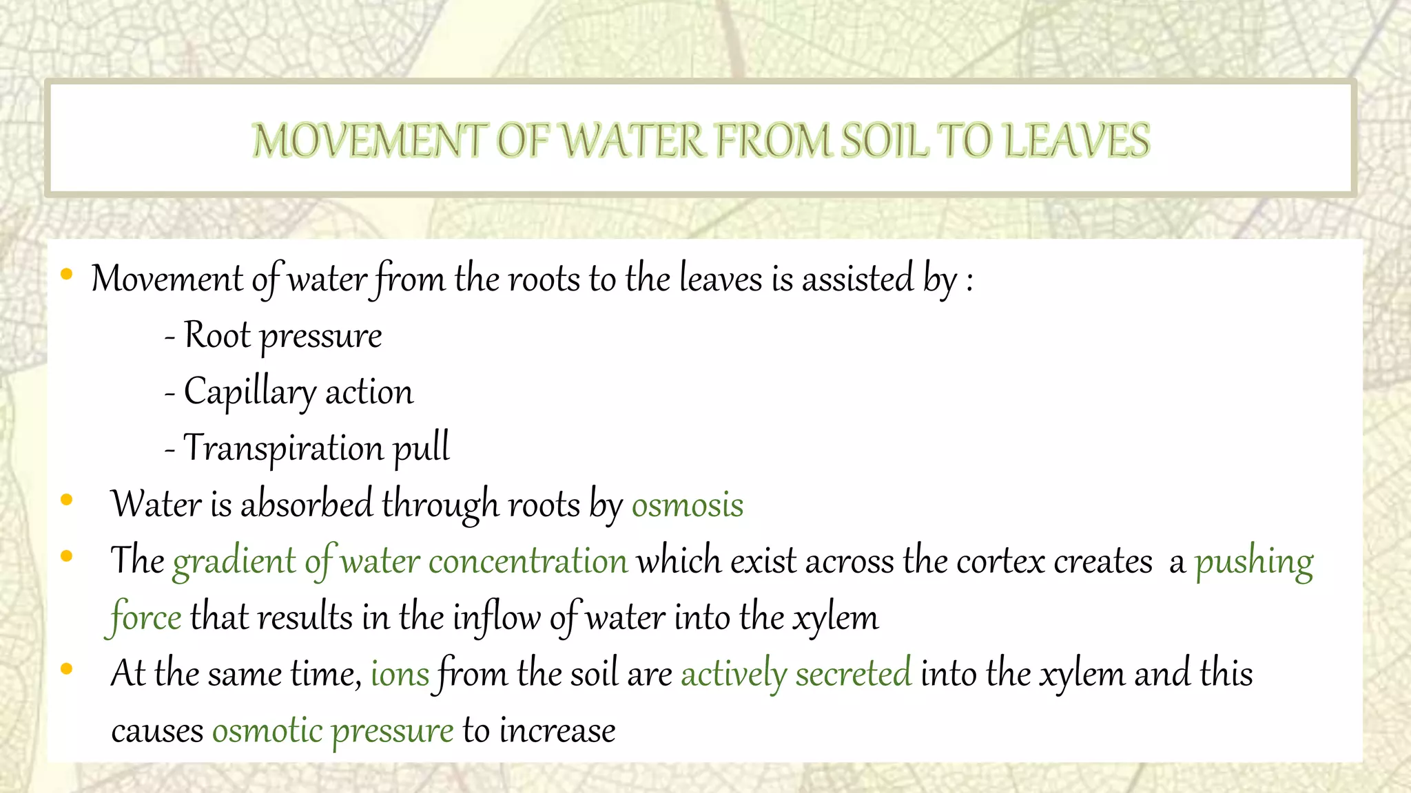 Biology Form 5 chapter 1.7 & 1.8 (Transport in Plants) | PPT