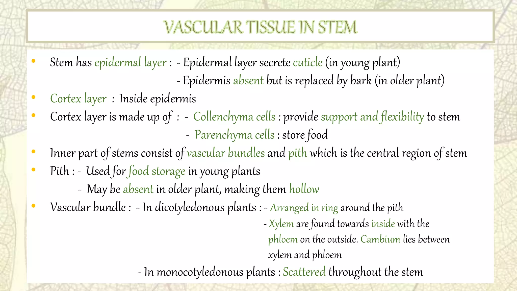 Biology Form 5 chapter 1.7 & 1.8 (Transport in Plants) | PPT
