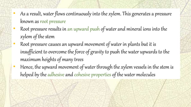 Biology Form 5 chapter 1.7 & 1.8 (Transport in Plants) | PPT