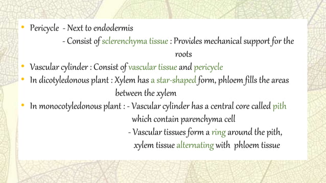 Biology Form 5 chapter 1.7 & 1.8 (Transport in Plants) | PPT