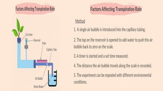 Transport in plants G1.pptx Cambridge IGCSE | PPTX