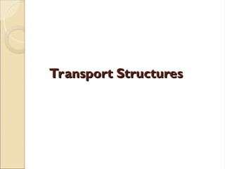 Comprehensive Overview of Plant Transport Systems: Xylem, Phloem, and ...