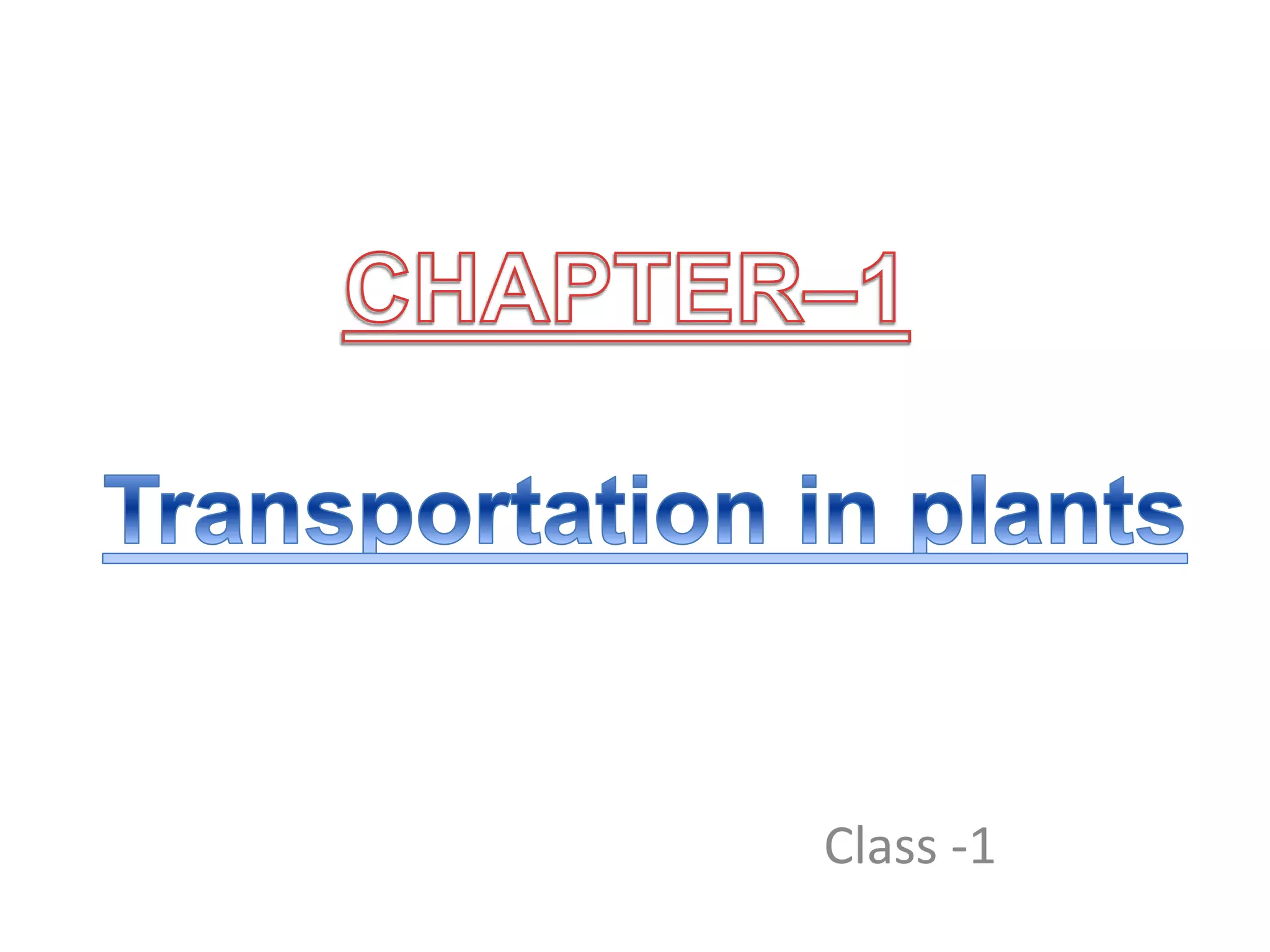 Transport in Plants M1.ppt