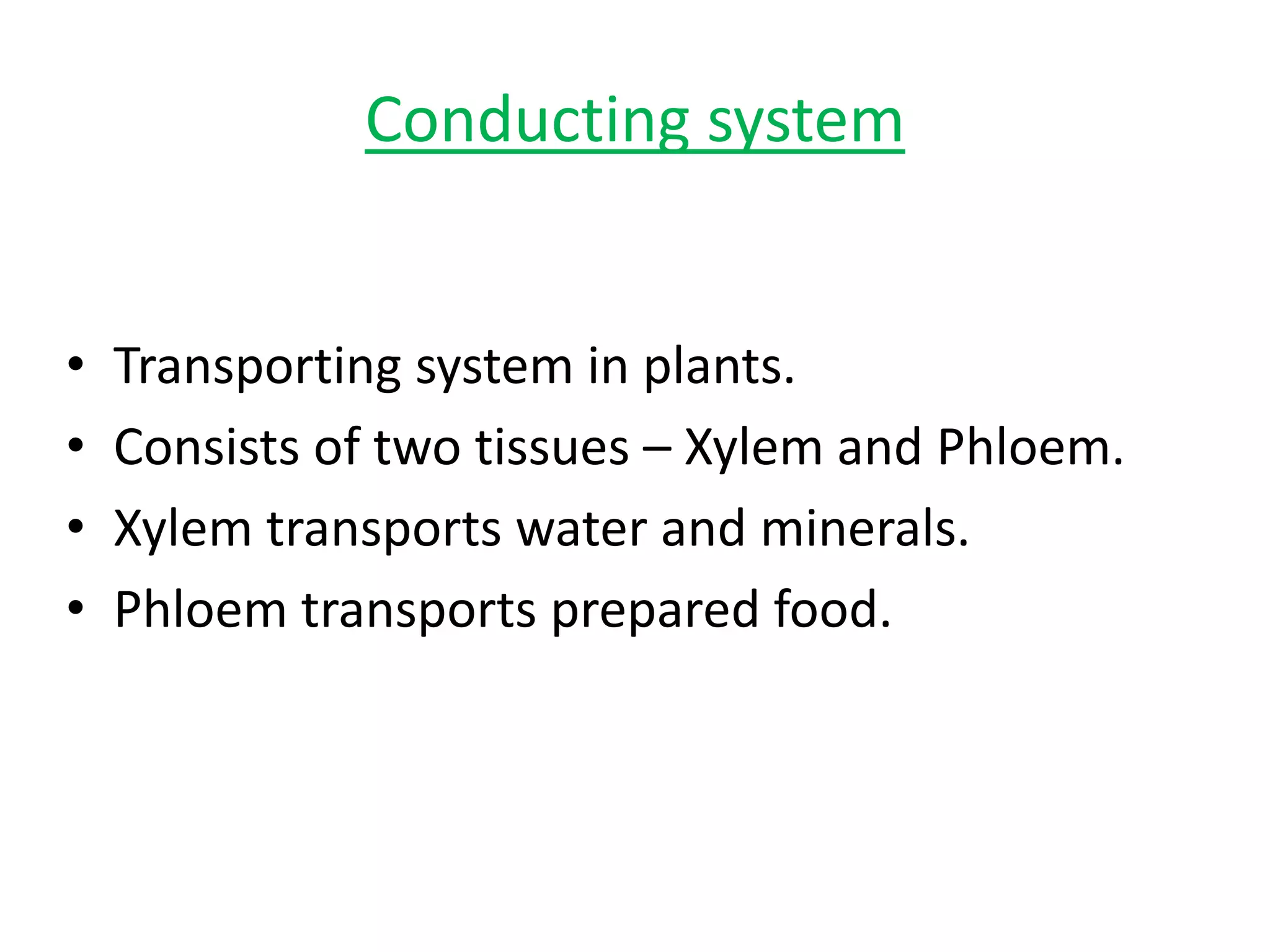 Transport in Plants M1.ppt