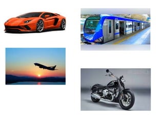 Transport in Plants M1.ppt