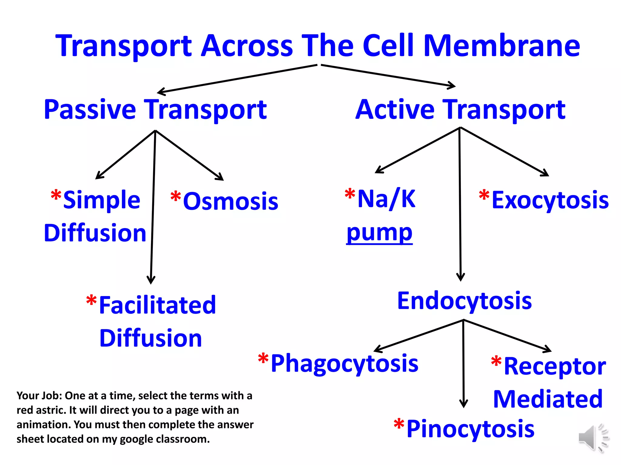 Transport Across The Cell Membrane | PPSX