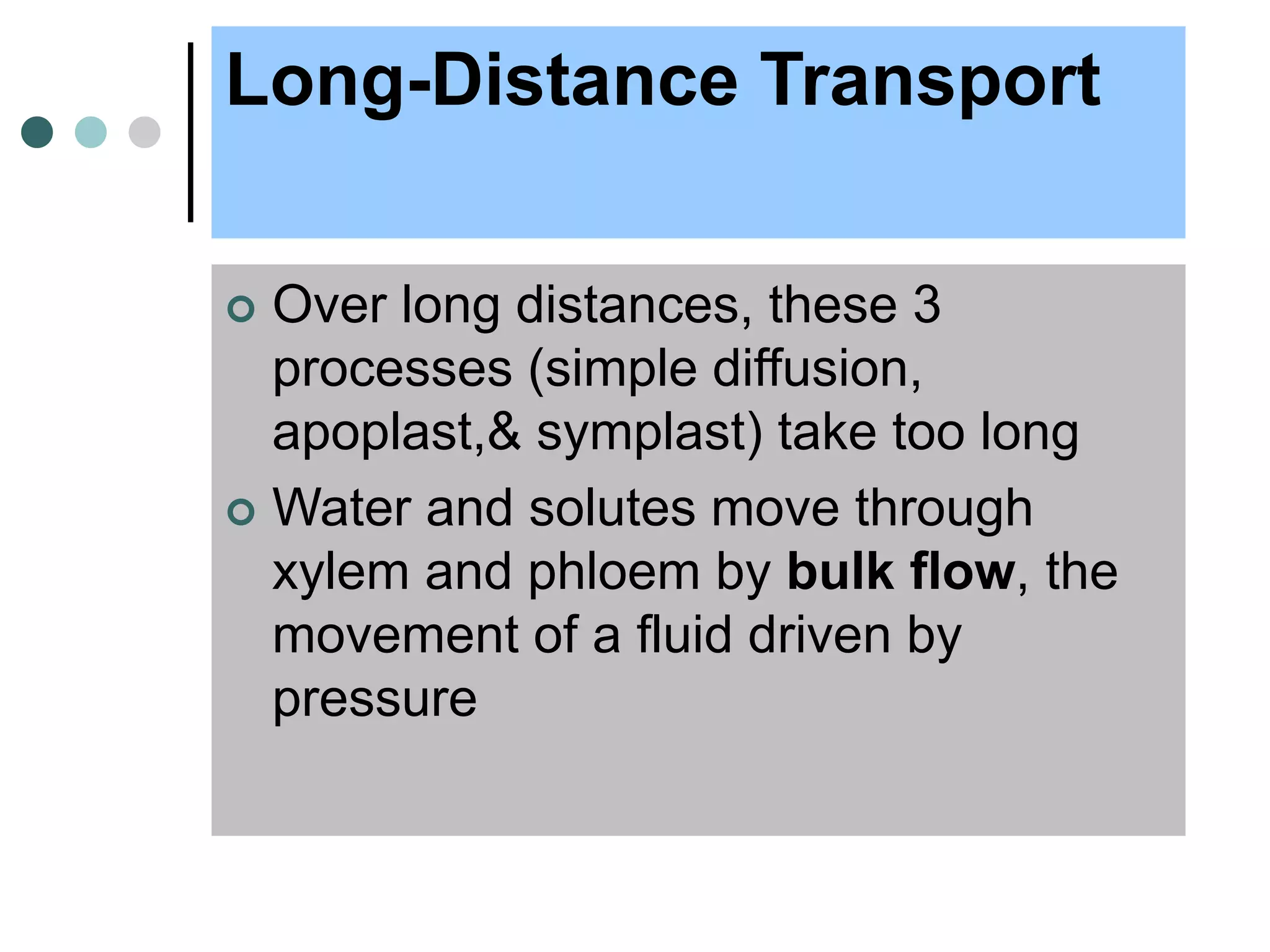 Transport in vascular_plants.. | PPT