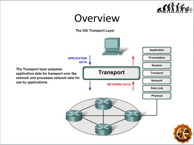 Transport layer services