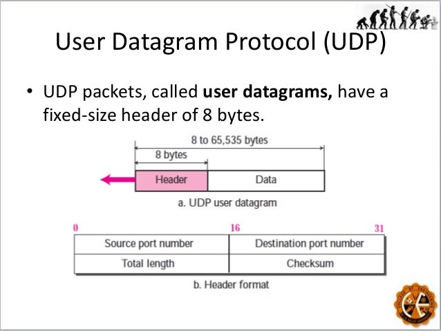 Transport layer services