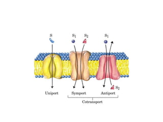 Transport machanism | PPT