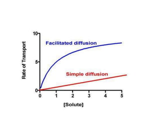 Transport machanism | PPT