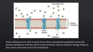 Transport Mechanism Across Plasma Membrane.pptx