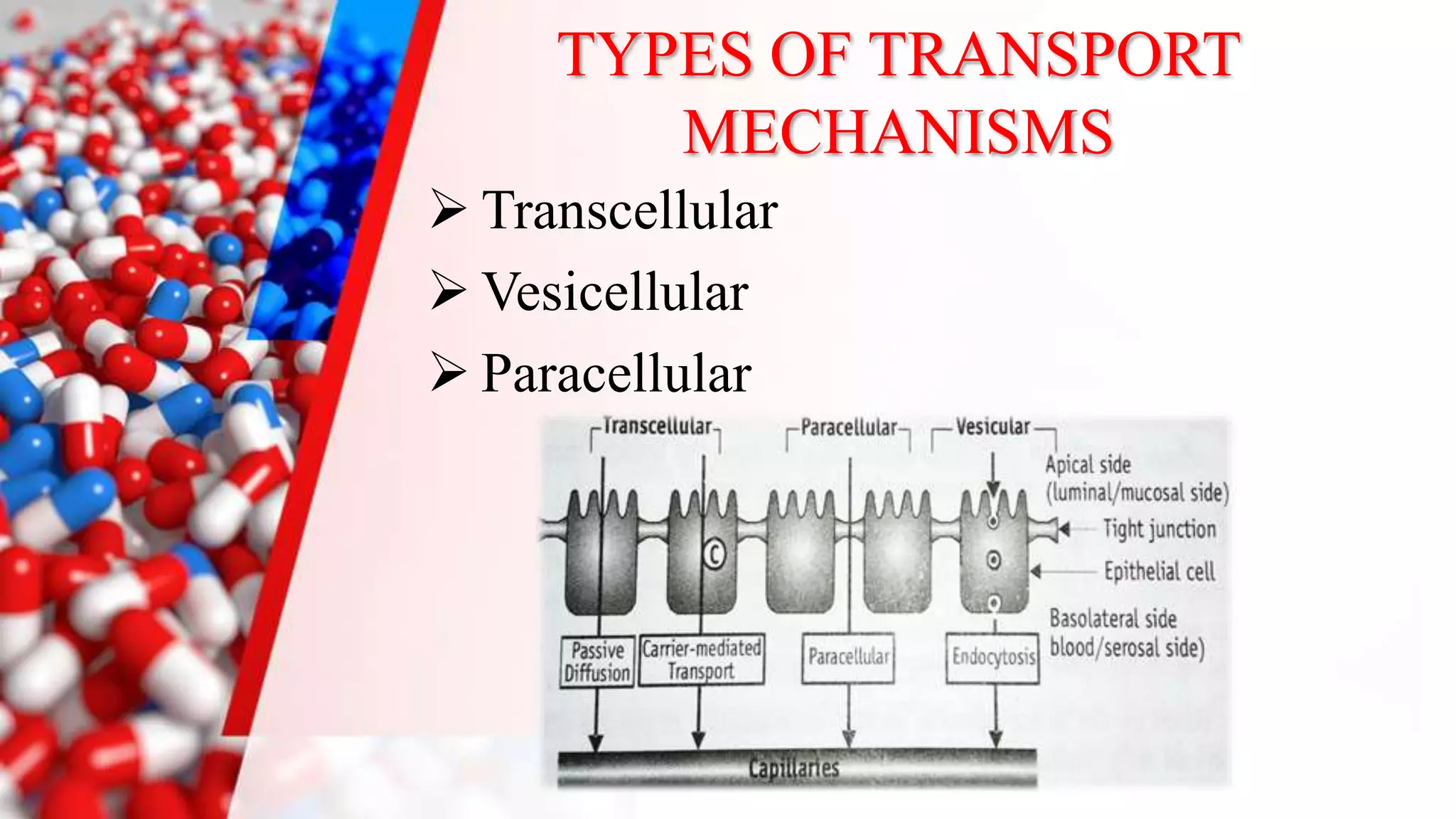 Transport mechanism biopharma | PPTX