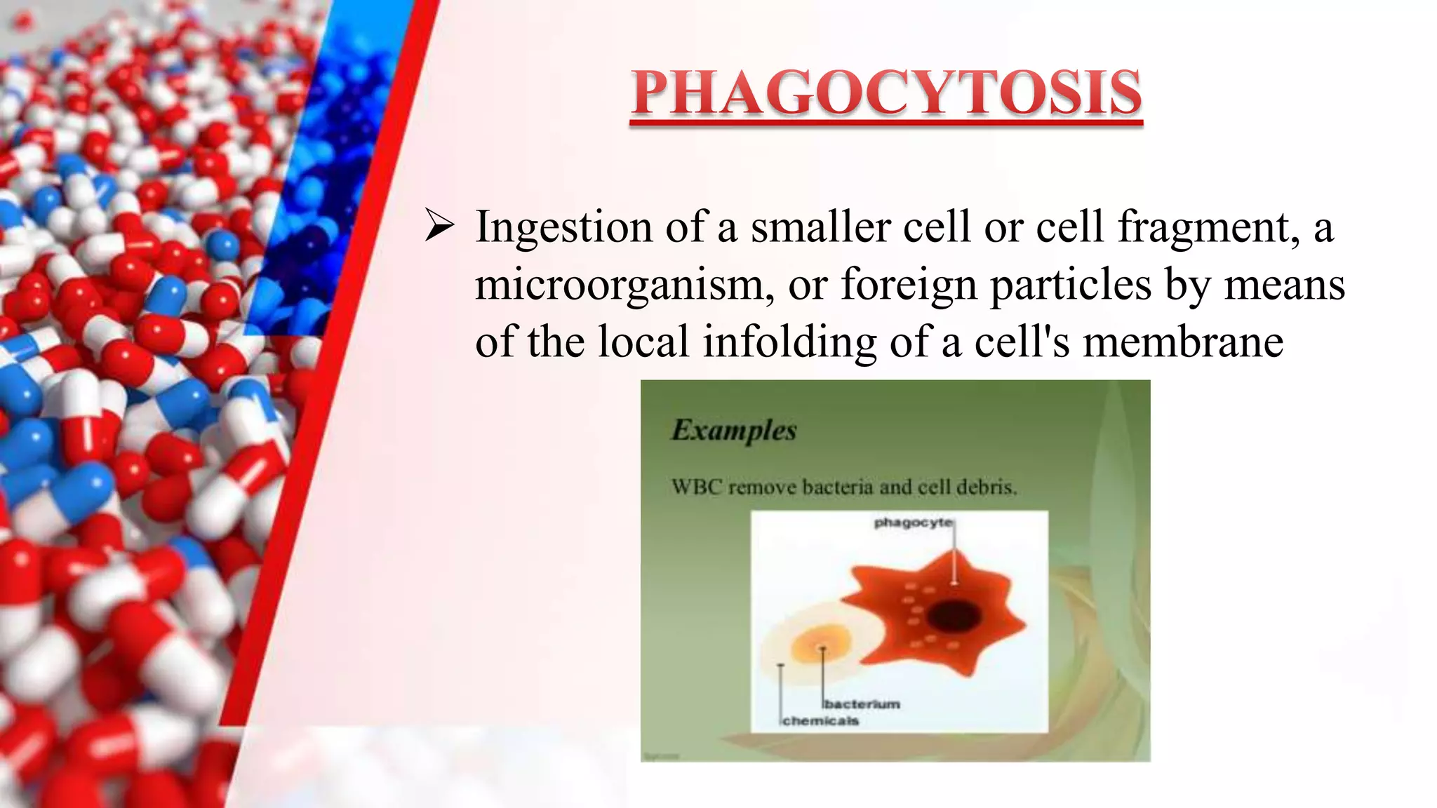 Transport mechanism biopharma | PPTX