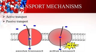 Transport mechanism biopharma | PPTX