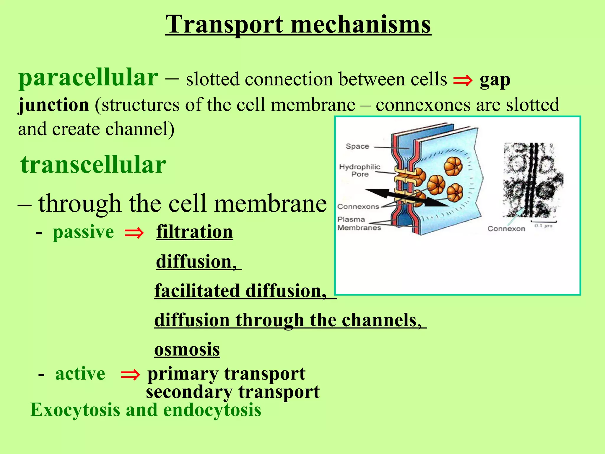 The properties of biological fluids and features of transport through ...