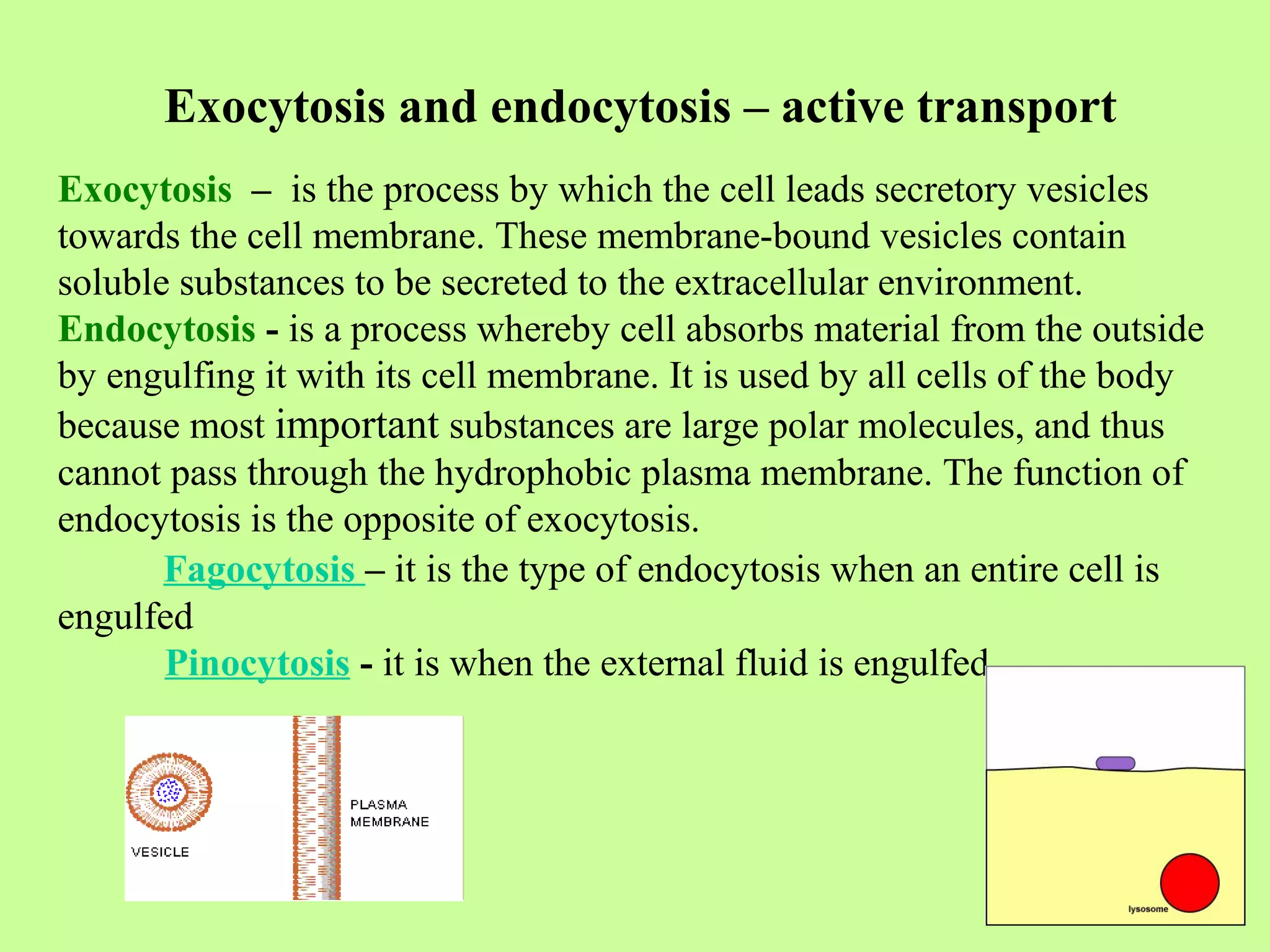 The properties of biological fluids and features of transport through ...