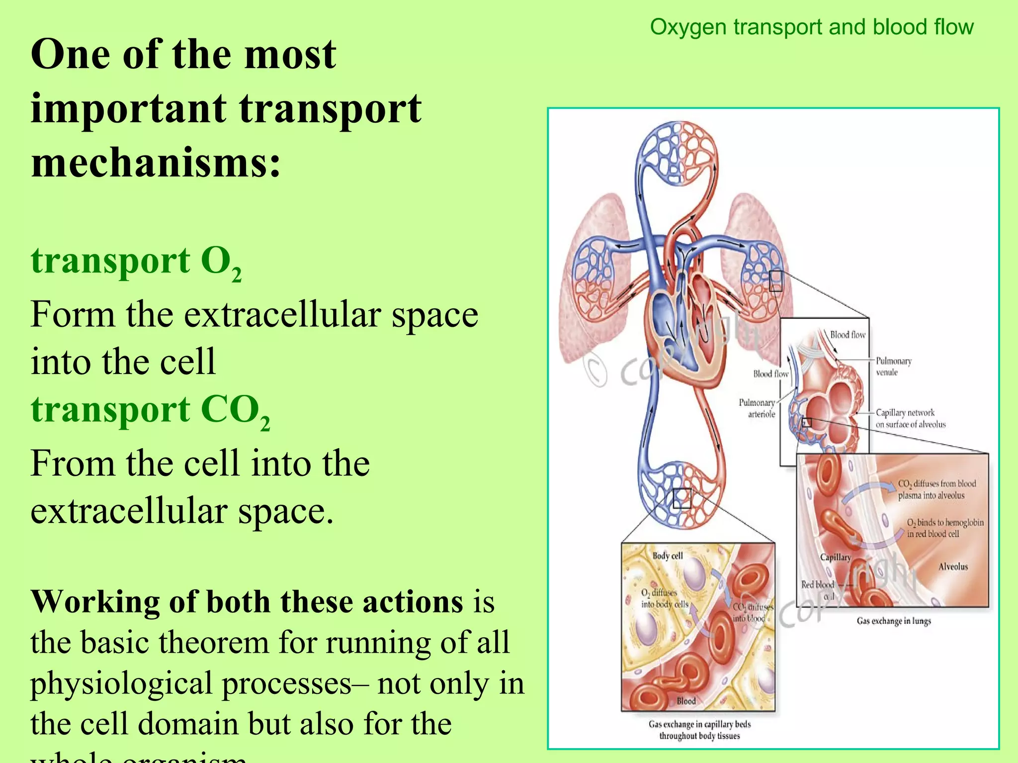 The properties of biological fluids and features of transport through ...