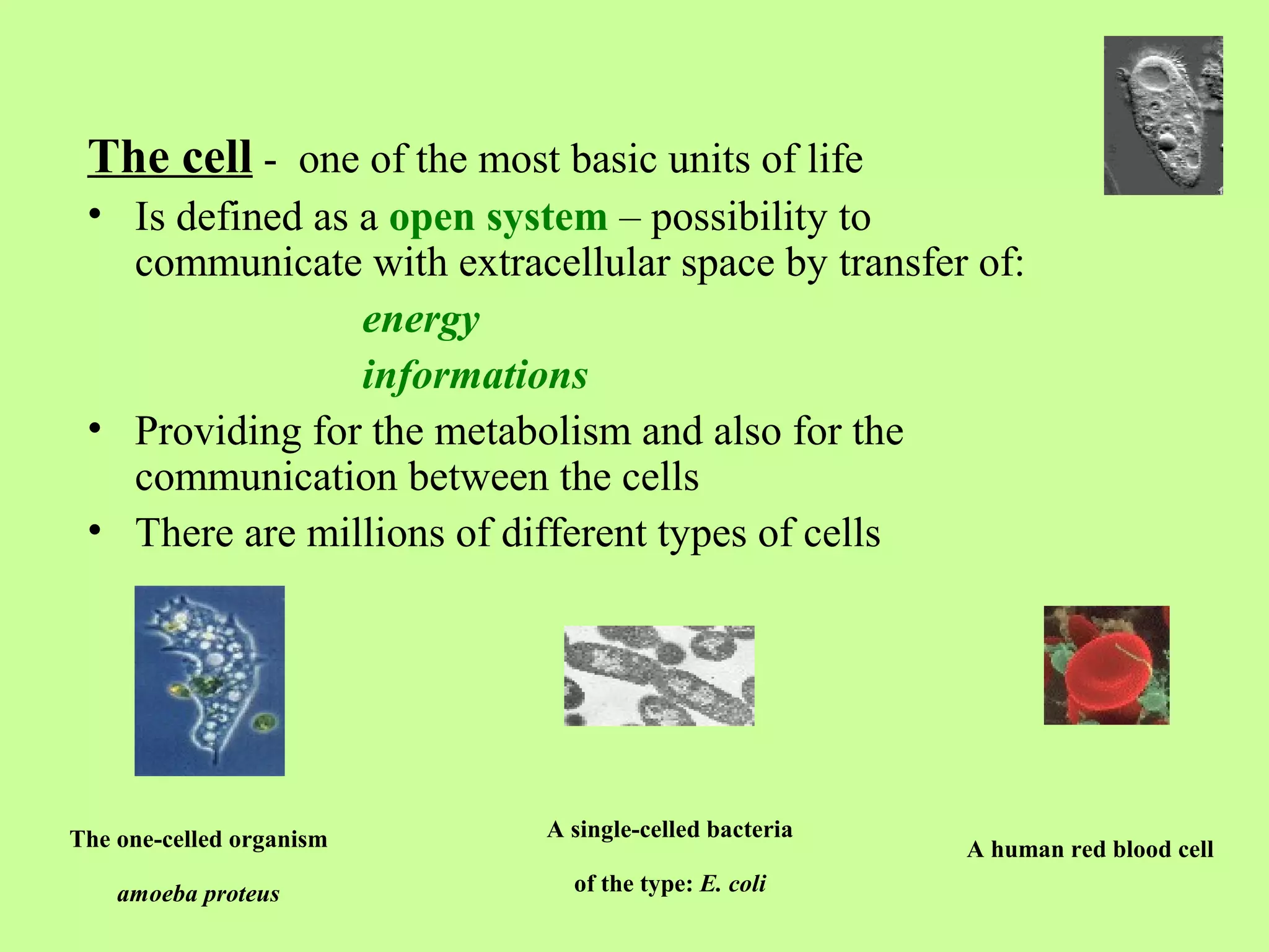 The properties of biological fluids and features of transport through ...