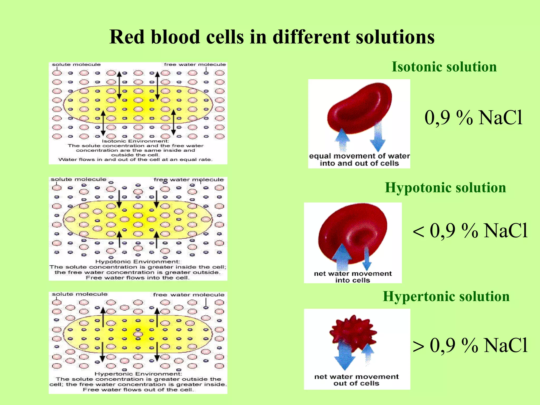 The properties of biological fluids and features of transport through ...