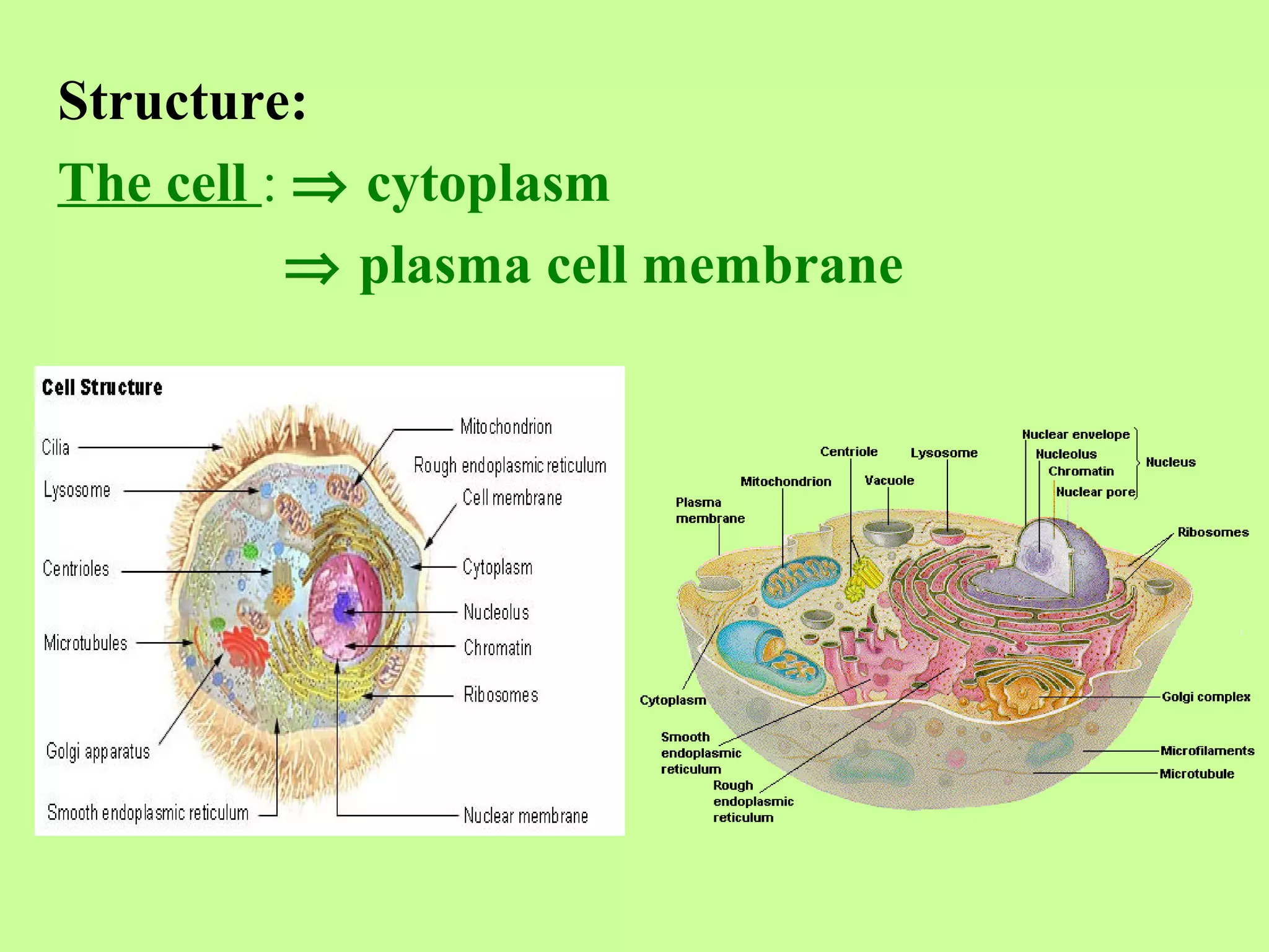 The properties of biological fluids and features of transport through ...