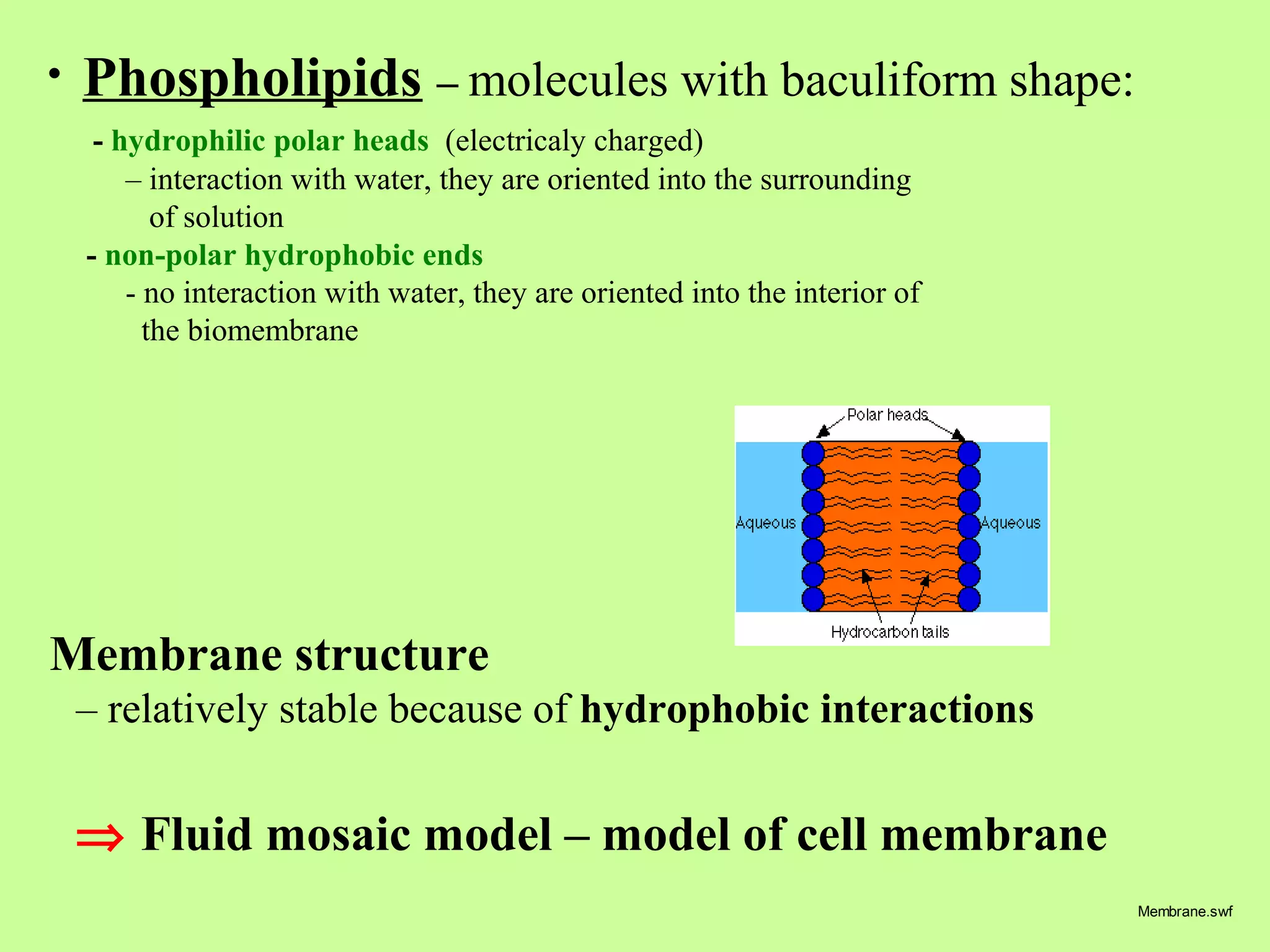 The properties of biological fluids and features of transport through ...