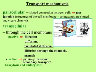 The properties of biological fluids and features of transport through ...