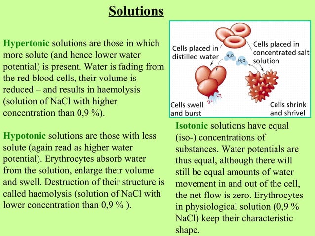The properties of biological fluids and features of transport through ...